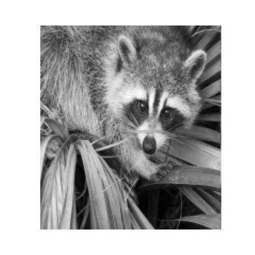 Plot The Block Mean Of An Image Scipy Lecture Notes
